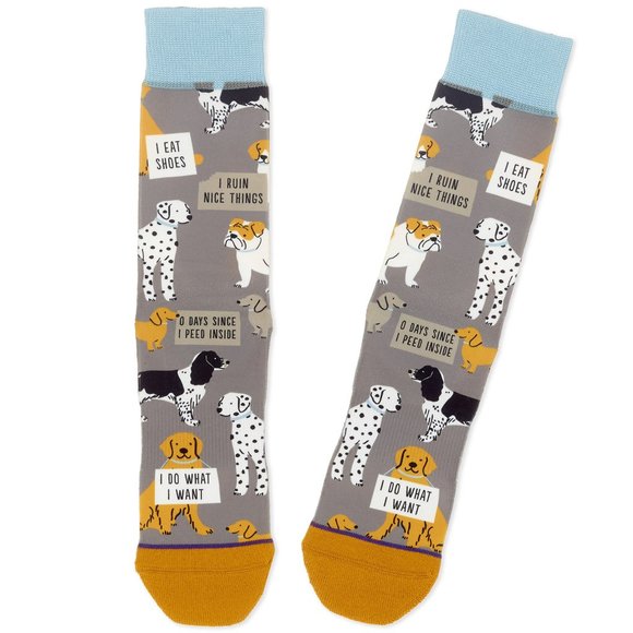 Hallmark | Underwear & Socks | Nwt Hallmark Dog Illustrations Toe Of A ...
